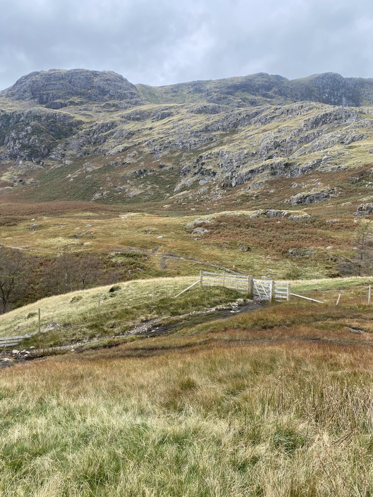 Wetherlam – October 2024 – Andrew Chick Ecology